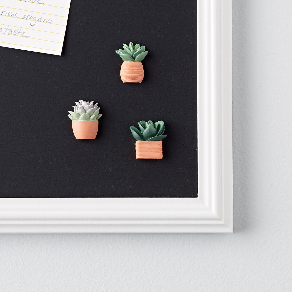 Refrigerator Magnets Home & Living Succulent magnet Kitchen Décor etna ...