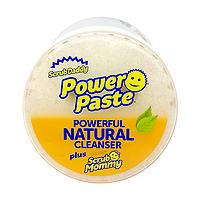 Power Paste Scrub Daddy | The Container Store